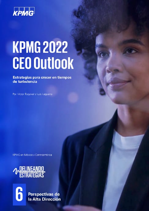 Descargue la publicación: